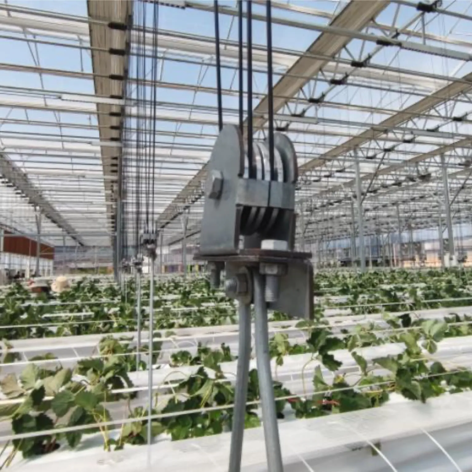 Vertical & Layered Systems - Greenhouse Supplier – CFGET