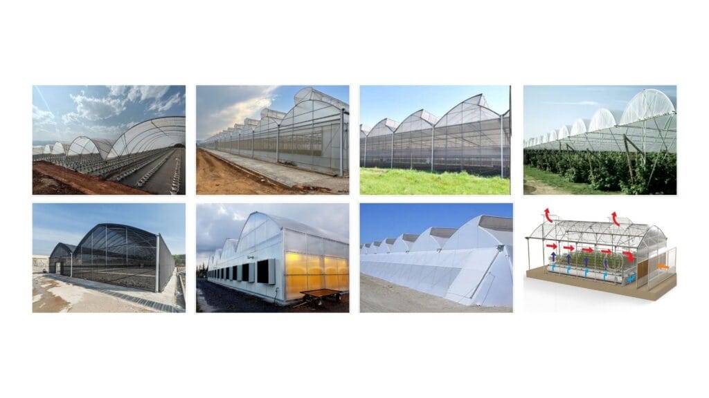 GreenHouse - Greenhouse Supplier – CFGET