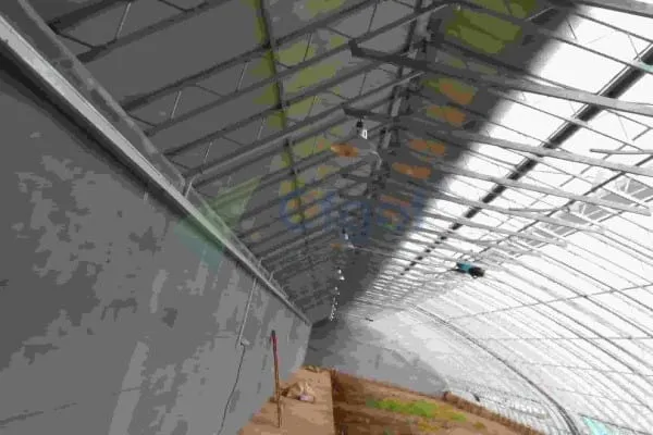 Chinese Greenhouses: Are They the Right Choice for Your Growing Needs ...