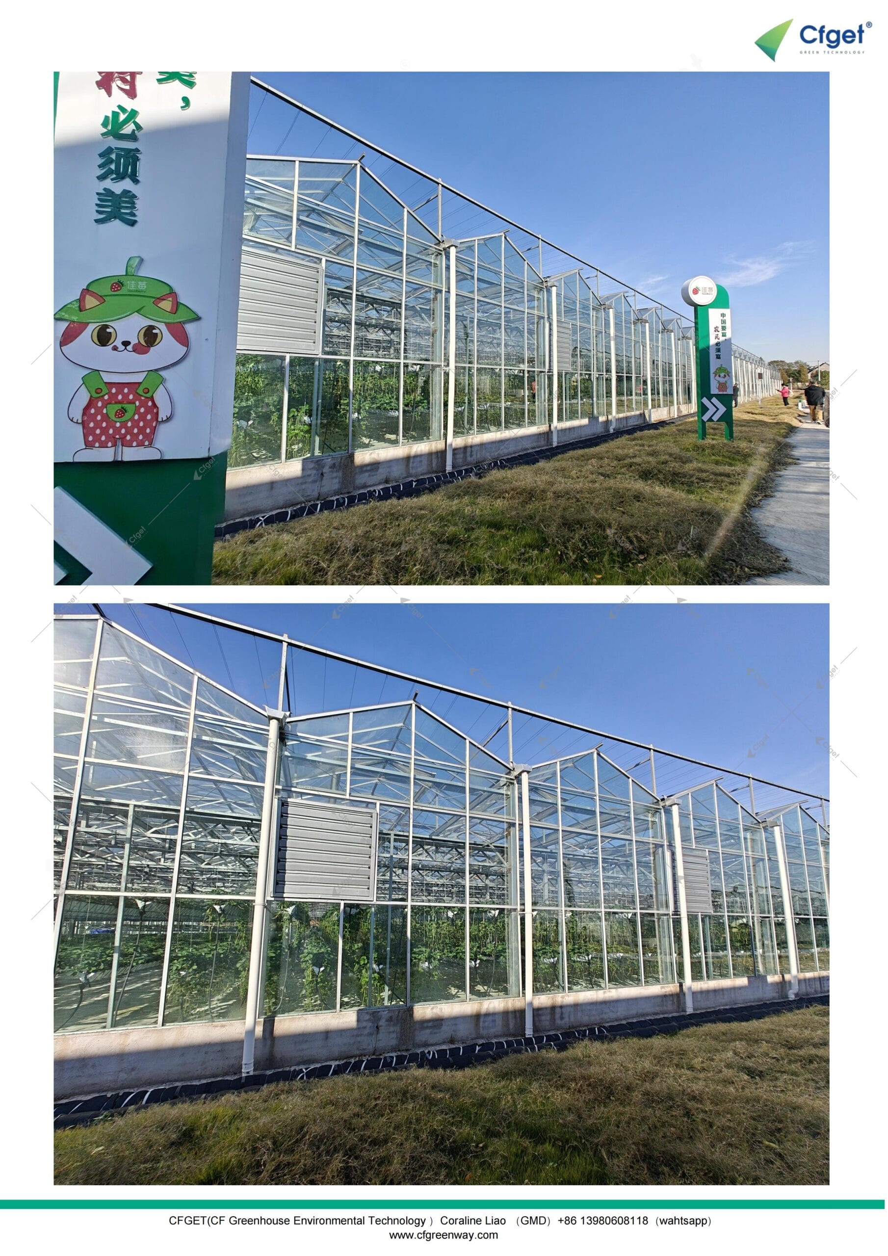 Aeroponics Guide: High-Tech Farming for Maximum Yields & Efficiency